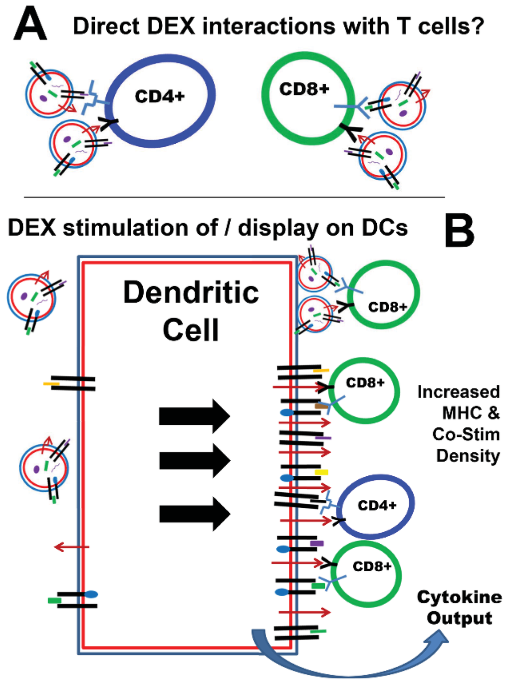 Vaccines | Free Full-Text | The Dichotomy of Tumor Exosomes (TEX) in ...