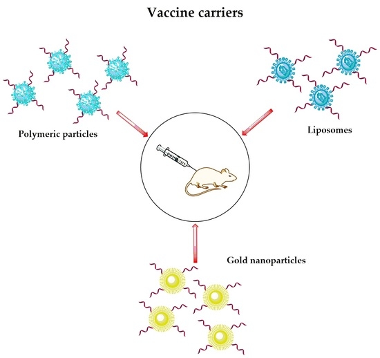 Vaccines | Free Full-Text | Recent Advances in Subunit Vaccine Carriers