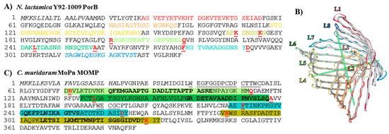 Structural and Immunological Characterization of Novel Recombinant MOMP ...