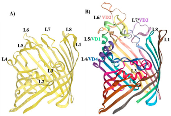 Structural and Immunological Characterization of Novel Recombinant MOMP ...