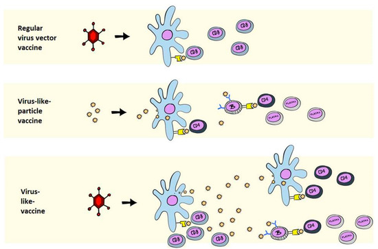 Virus-Like-Vaccines against HIV
