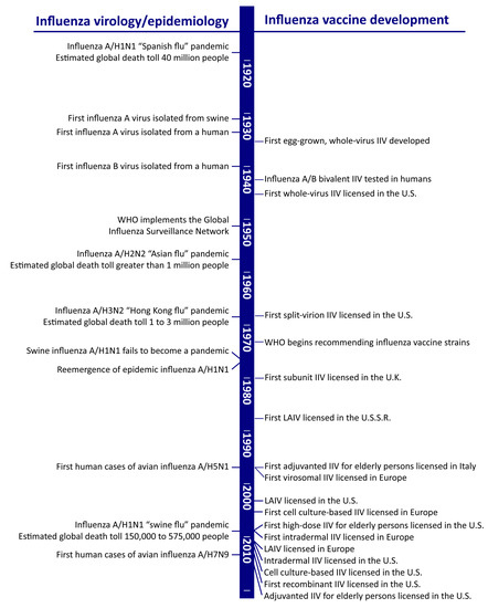 The Future of Influenza Vaccines: A Historical and Clinical Perspective