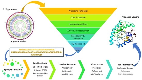 Vaccines | Free Full-Text | Immunoinformatics-Aided Design and ...
