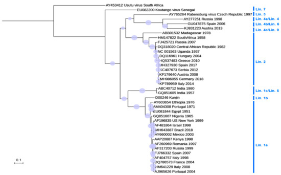 Current Progress of Avian Vaccines Against West Nile Virus