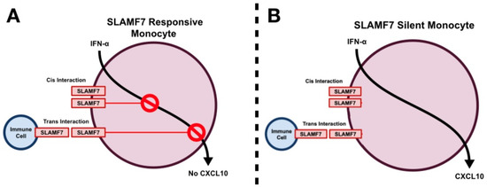 SLAM Family Receptor Signaling in Viral Infections: HIV and Beyond
