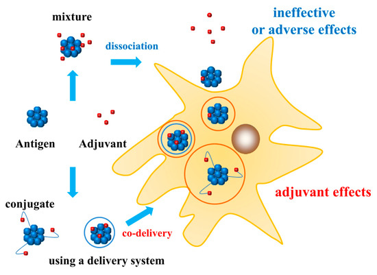 Better Adjuvants for Better Vaccines: Progress in Adjuvant Delivery ...