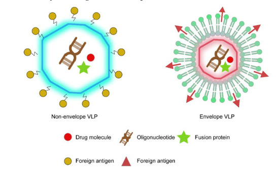 Recent Progress on the Versatility of Virus-Like Particles