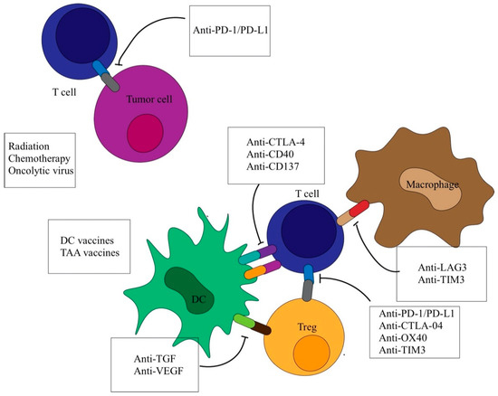 Immuno-Oncotherapeutic Approaches in Advanced Hepatocellular Carcinoma