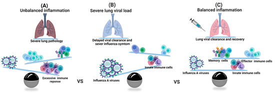 Influenza–Host Interplay and Strategies for Universal Vaccine Development