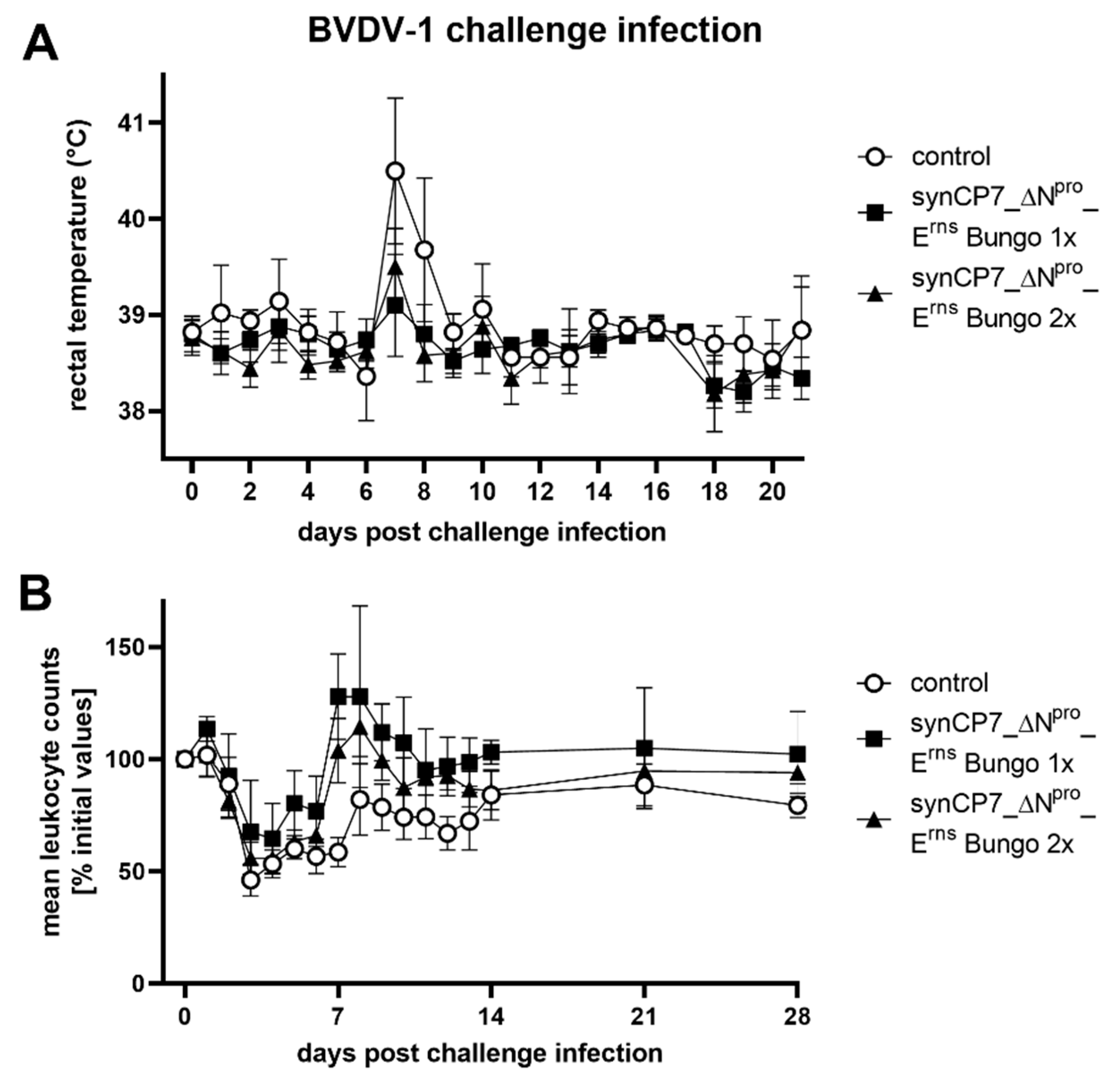 A Synthetic Modified Live Chimeric Marker Vaccine against BVDV-1 and BVDV-2