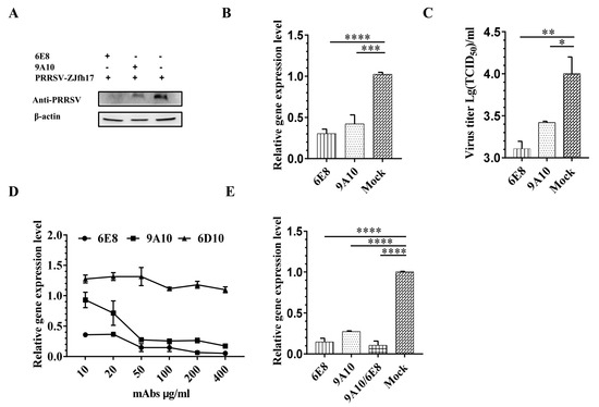 CD163 Antibodies Inhibit PRRSV Infection via Receptor Blocking and ...