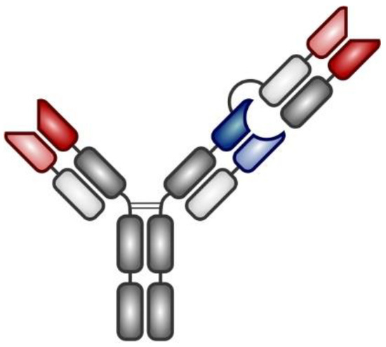 Vaccines | Free Full-Text | Current Immunotherapy Approaches in Non ...