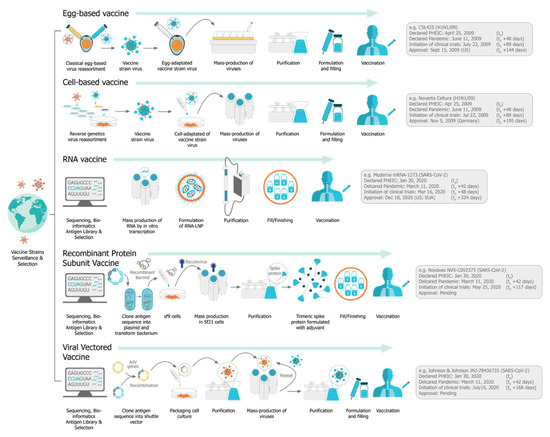 An Update on Self-Amplifying mRNA Vaccine Development