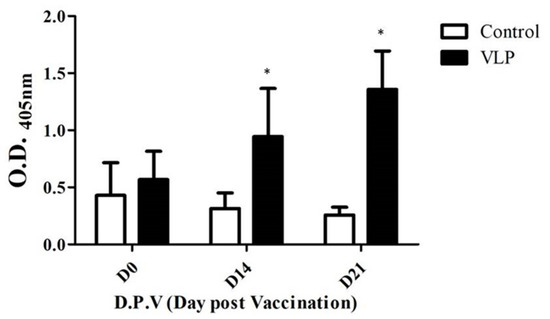 Immunogenicity and Protective Activity of Pigeon Circovirus Recombinant ...