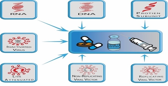 Vaccines | Free Full-Text | COVID-19 Vaccines (Revisited) and Oral ...