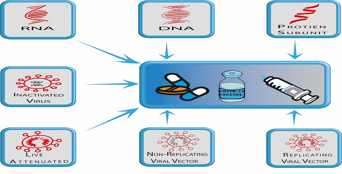 Vaccines | Free Full-Text | COVID-19 Vaccines (Revisited) and Oral ...