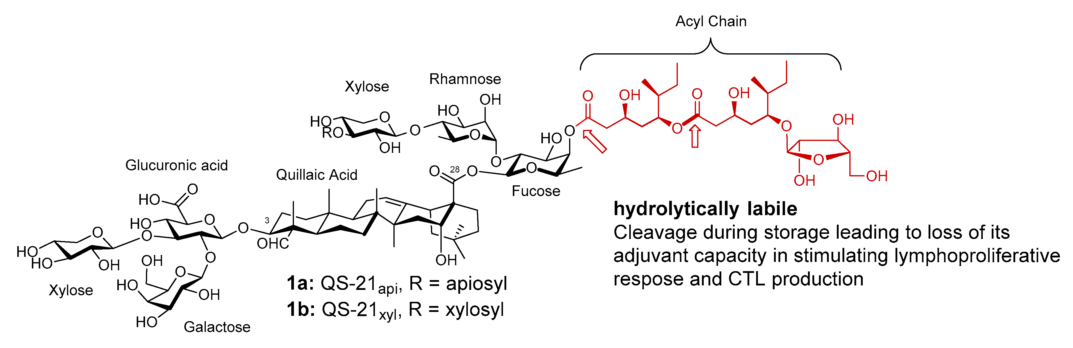 Vaccines | Free Full-Text | Natural and Synthetic Saponins as Vaccine Adjuvants