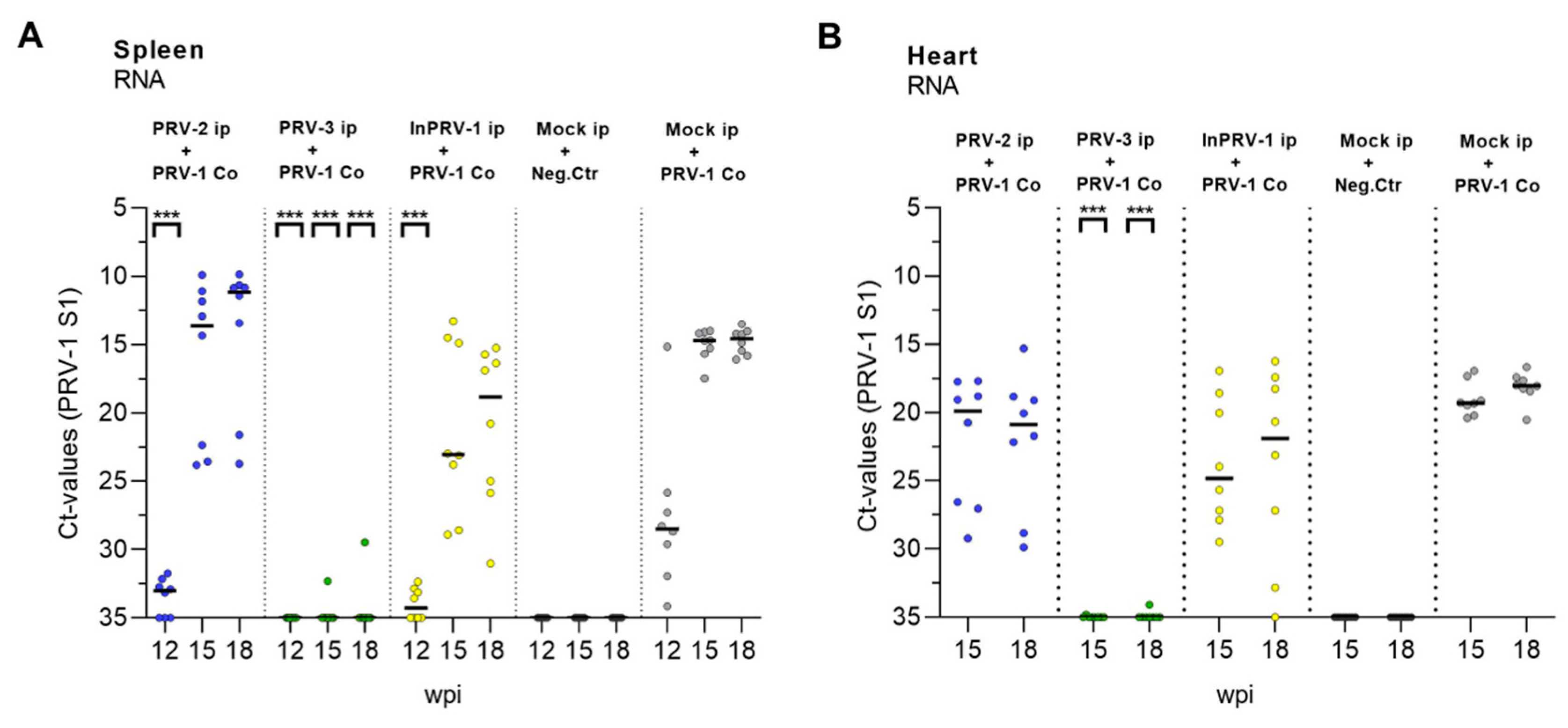 Vaccines | Free Full-Text | Piscine Orthoreovirus (PRV)-3, but Not PRV ...