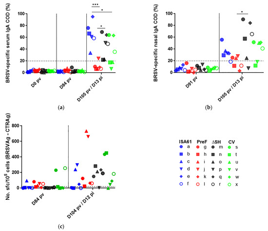 Single-Shot Vaccines against Bovine Respiratory Syncytial Virus (BRSV ...