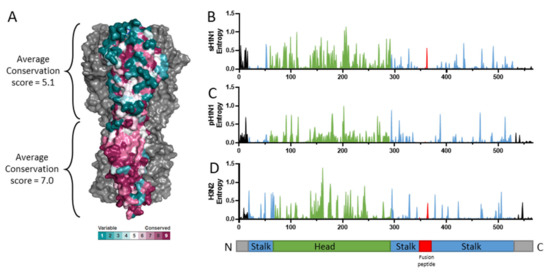 Strategies Targeting Hemagglutinin as a Universal Influenza Vaccine
