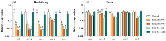 BEI Inactivated Vaccine Induces Innate and Adaptive Responses and ...