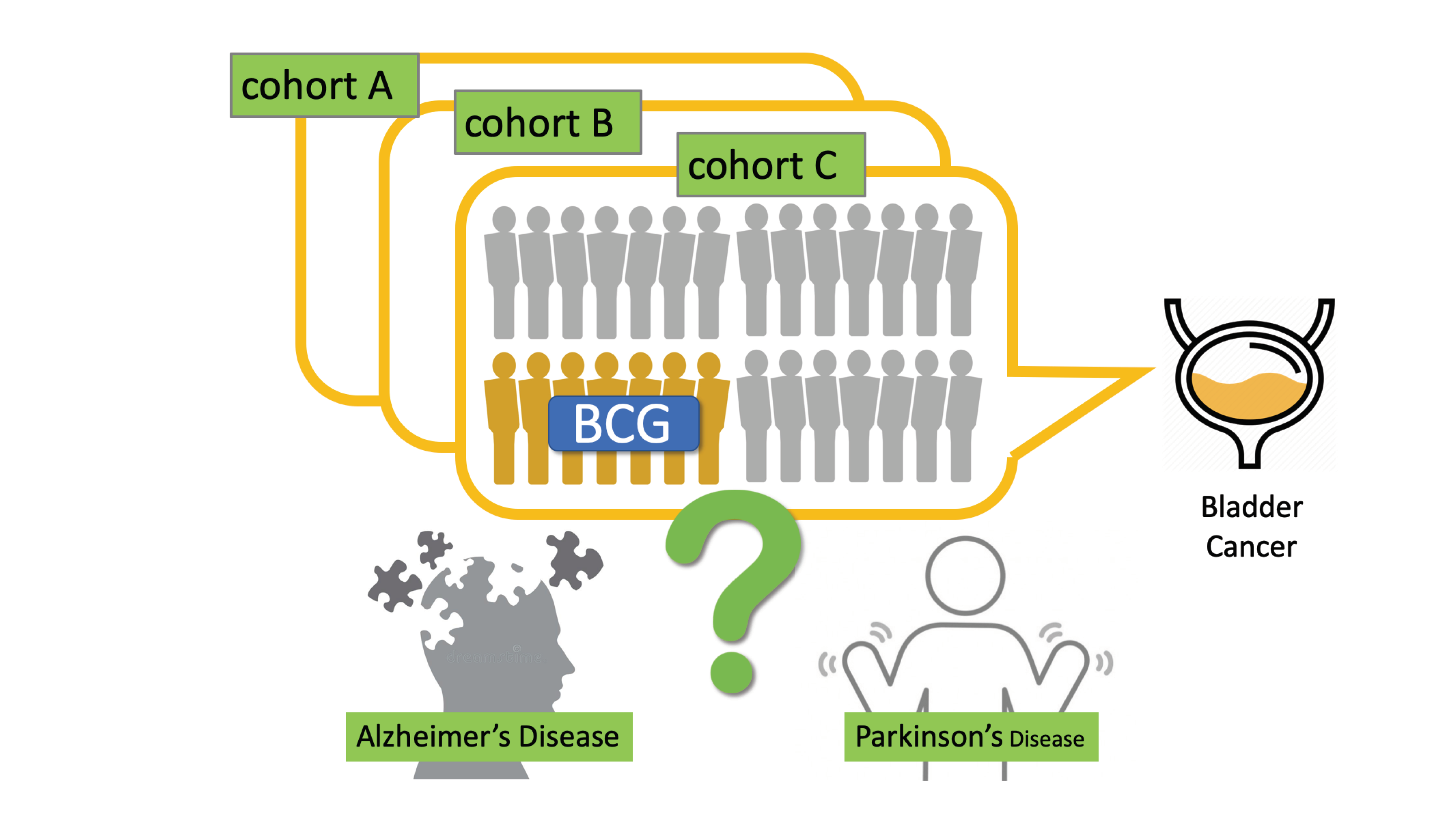 Vaccines | Free Full-Text | Bladder Cancer Immunotherapy by BCG Is ...