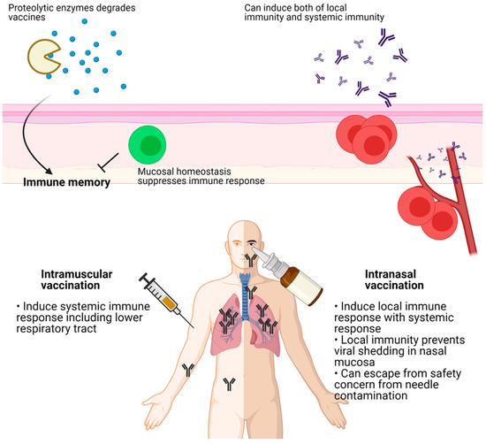 Delivery Routes for COVID-19 Vaccines