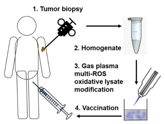 ROS Cocktails as an Adjuvant for Personalized Antitumor Vaccination?
