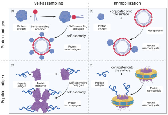 Vaccines | Special Issue : Advances in Vaccine Development