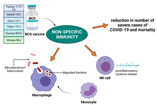 Vaccines | An Open Access Journal from MDPI