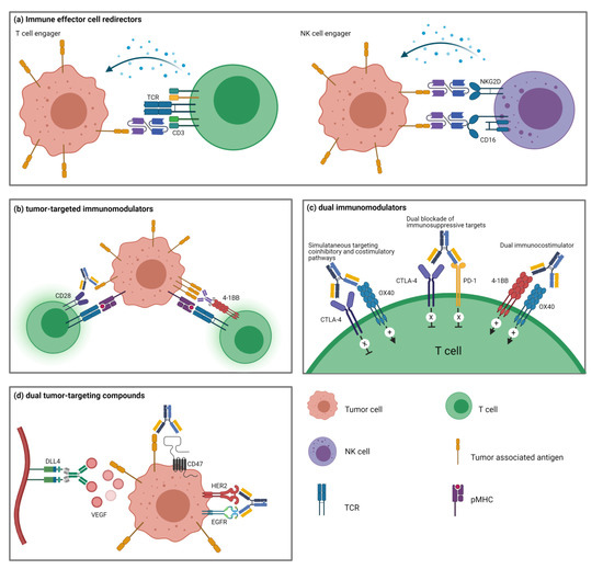 Bispecific Antibodies: A Smart Arsenal for Cancer Immunotherapies