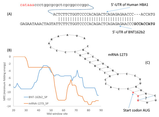Detailed Dissection and Critical Evaluation of the Pfizer/BioNTech and ...