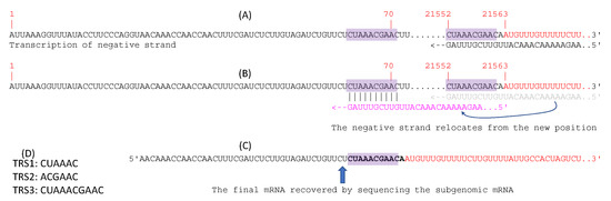 Detailed Dissection and Critical Evaluation of the Pfizer/BioNTech and ...