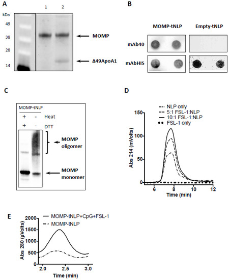 Vaccines | Free Full-Text | Induction of Protection in Mice against a ...