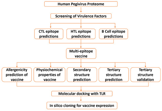 Towards an Ensemble Vaccine against the Pegivirus Using Computational ...