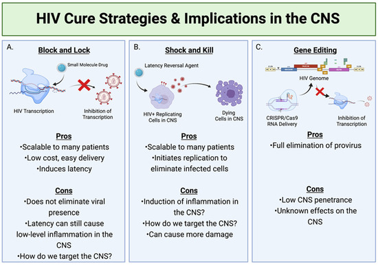 HIV in the Brain: Identifying Viral Reservoirs and Addressing the ...