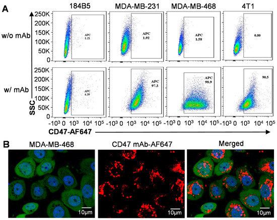 Vaccines | Free Full-Text | Anti-CD47 Monoclonal Antibody–Drug Conjugate: A Targeted Therapy to ...