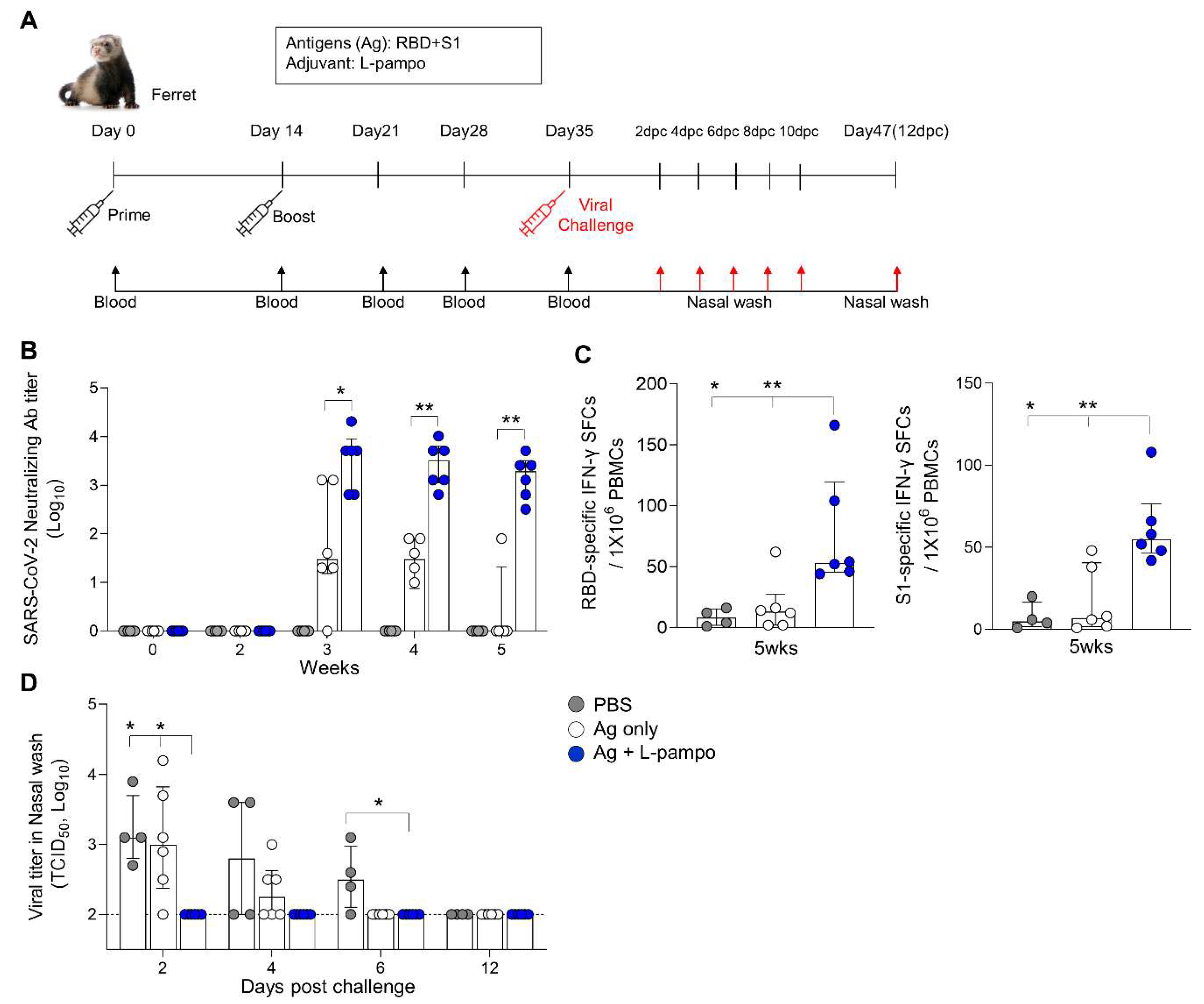 COVID-19 Subunit Vaccine with a Combination of TLR1/2 and TLR3 Agonists ...