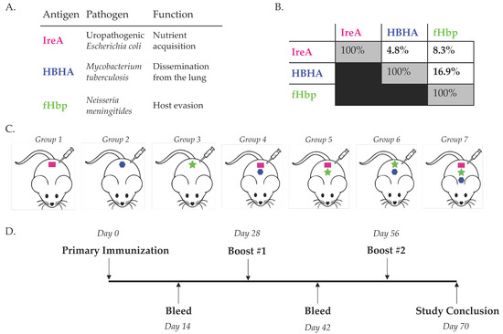 Simultaneous Immunization with Multiple Diverse Immunogens Alters ...