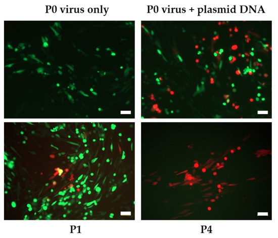 Vaccines | Free Full-Text | Advancements in the Growth and Construction ...