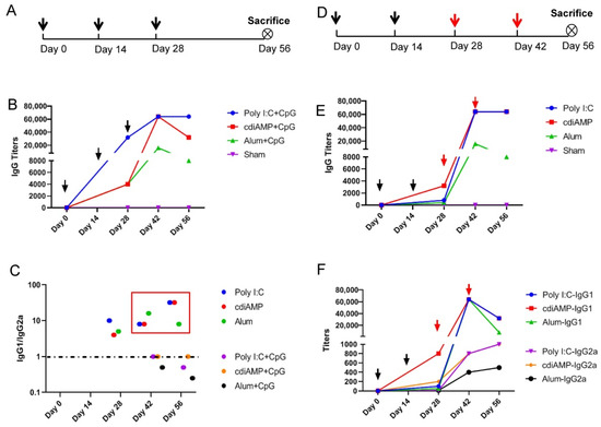 An Established Th2-Oriented Response to an Alum-Adjuvanted SARS-CoV-2 Subunit Vaccine Is Not ...