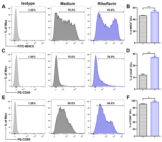 Riboflavin as a Mucosal Adjuvant for Nasal Influenza Vaccine