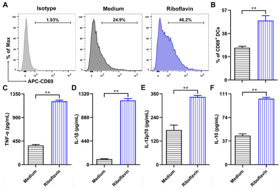 Riboflavin as a Mucosal Adjuvant for Nasal Influenza Vaccine