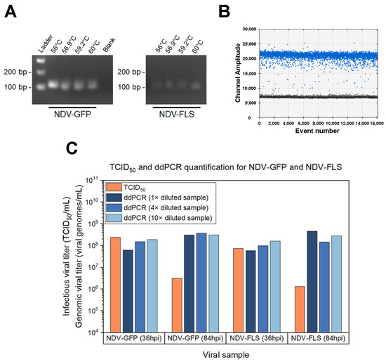 Process Development for Newcastle Disease Virus-Vectored Vaccines in ...