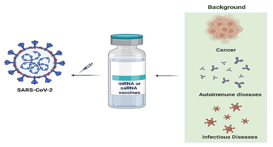Vaccines | Free Full-Text | The Importance of RNA-Based Vaccines in the ...