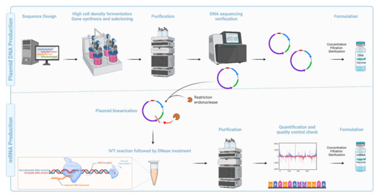 Vaccine Technologies and Platforms for Infectious Diseases: Current ...