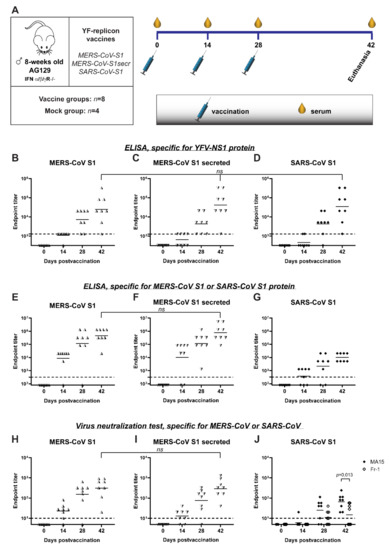 A Yellow Fever 17D Virus Replicon-Based Vaccine Platform for A Yellow Fever 17D Virus Replicon-Based Vaccine Platform for