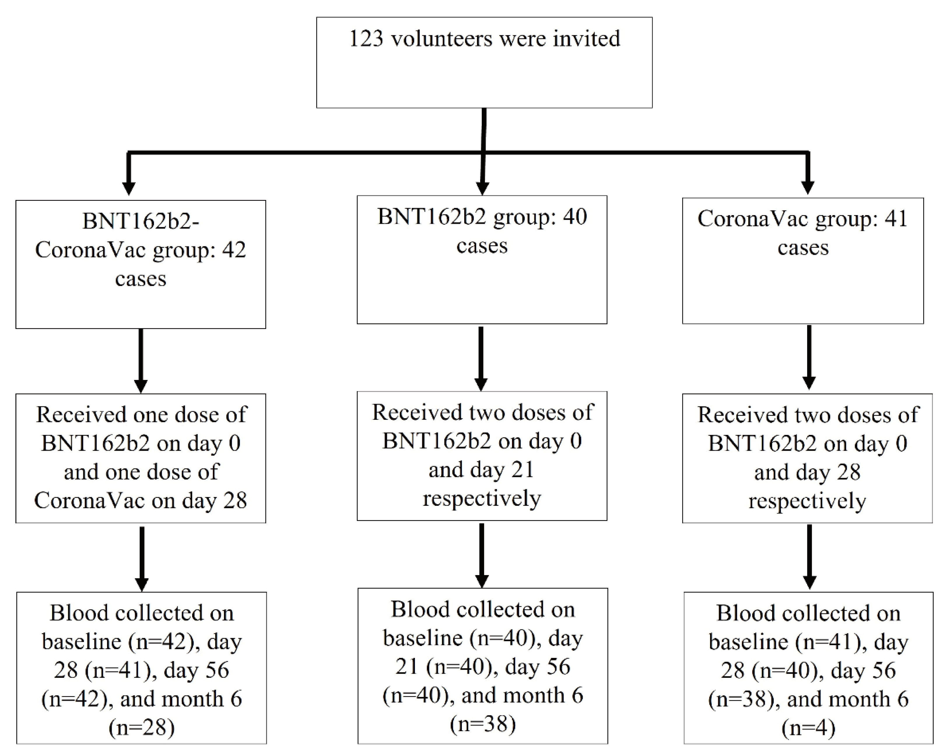Vaccines | Free Full-Text | Immunogenicity of a Heterologous Prime-Boost COVID-19 Vaccination ...