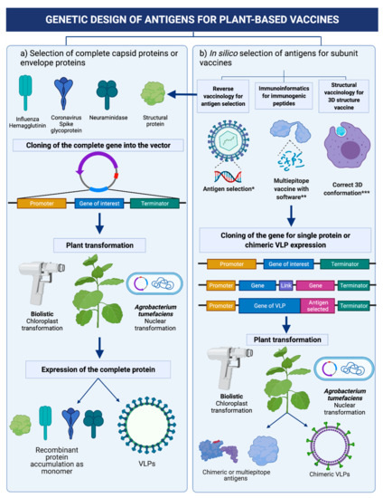 Plant-Based Vaccines: Antigen Design, Diversity, and Strategies for ...