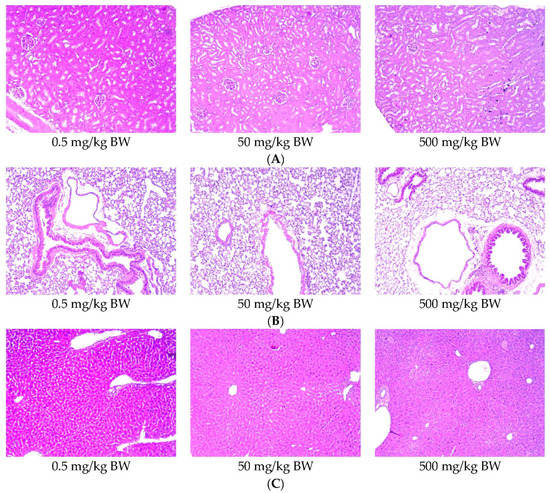Preclinical Evaluation of Chicken Egg Yolk Antibody (IgY) Anti-RBD Spike SARS-CoV-2—A Candidate ...